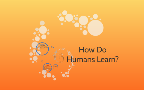 How Do Humans Learn? by Lauren Sorrells on Prezi