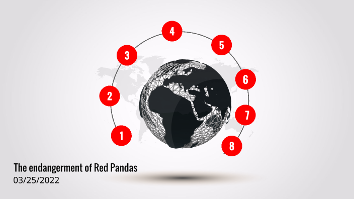 The endangered species Red Pandas by Jack Pereira on Prezi