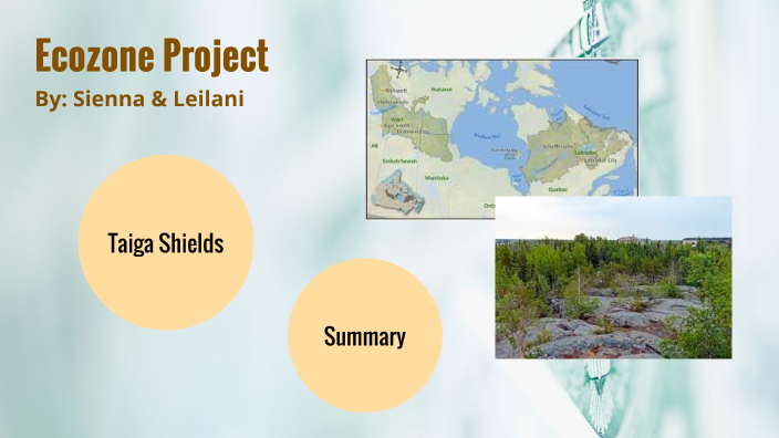 Taiga Shield by Leilani Freitas on Prezi