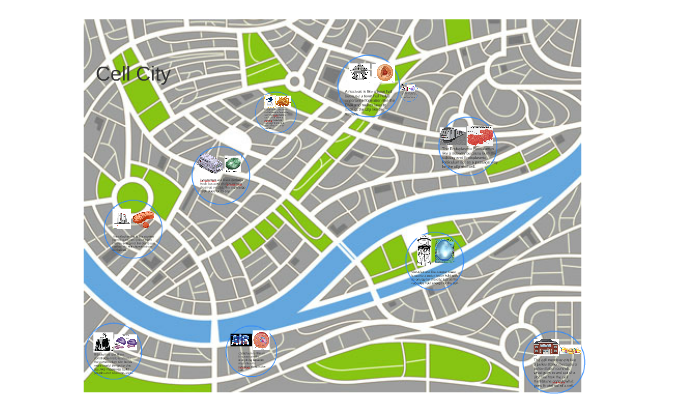 The cell membrane is like a police station by Kyler Klimek on Prezi