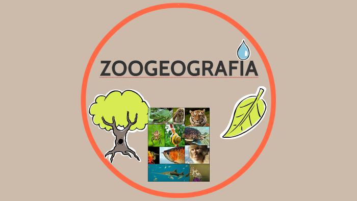Zoogeografia zoogeografia | Selva | Desierto