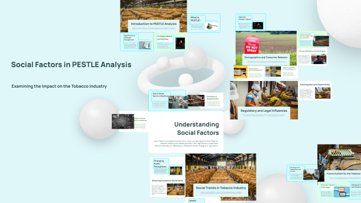 Social Factors in PESTLE Analysis by Magda Hrnčířová on Prezi