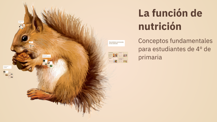La función de nutrición by Patricia Postigo on Prezi