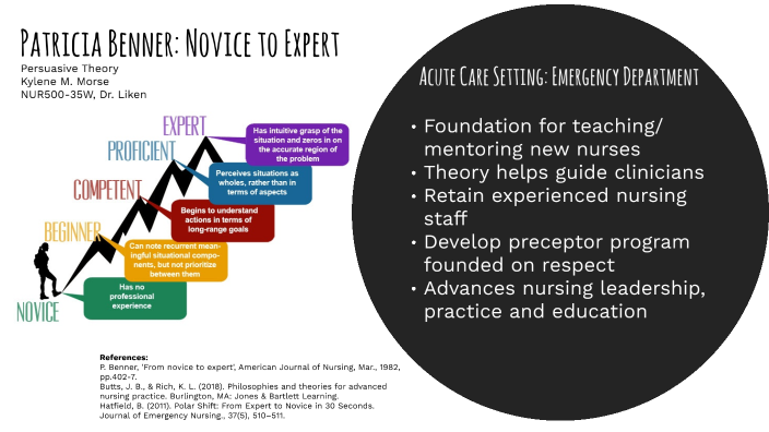 Patricia Benner's Novice to Expert Nursing Theory by Kylene Morse on Prezi