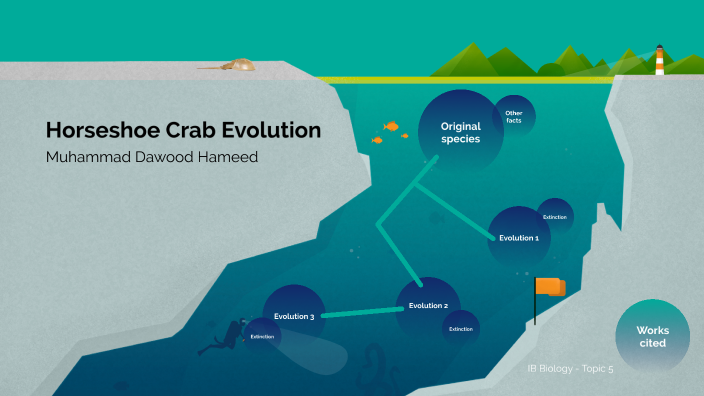 Horseshoe Crab Evolution - Biology IB2 by Muhammad Dawood Hameed on Prezi