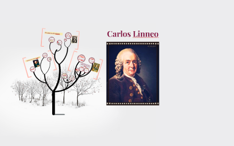 Carlos Linneo by Alba Michelle Mendoza on Prezi
