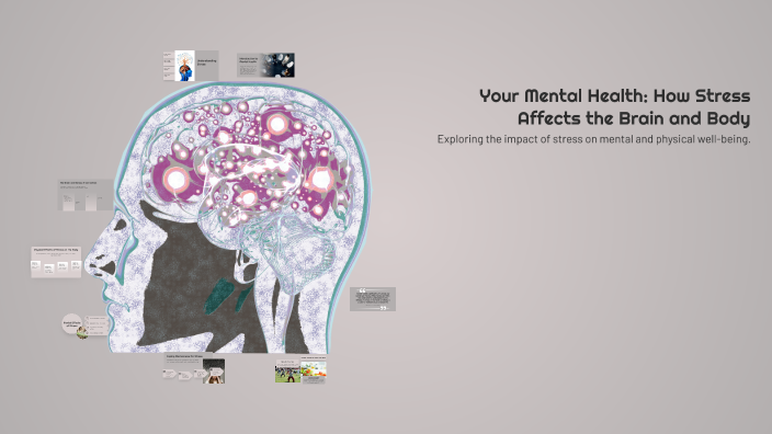 Your Mental Health: How Stress Affects the Brain and Body by Christine ...