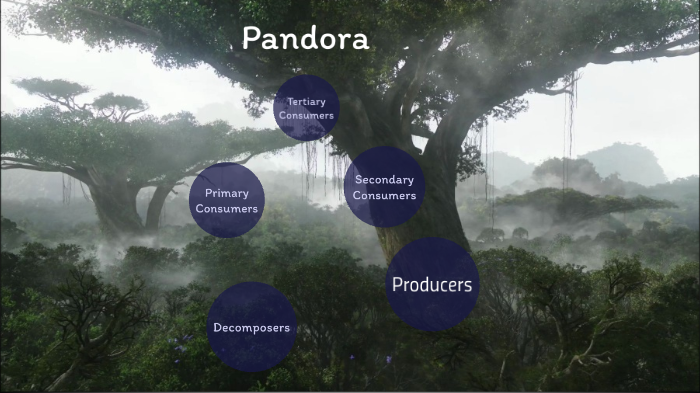 Pandora Food Web by jesus nunez on Prezi
