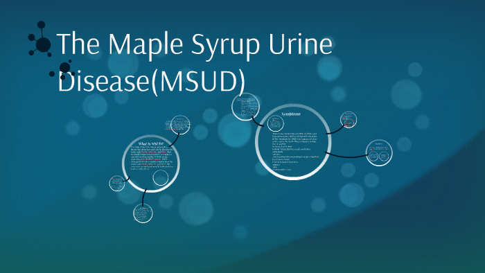 The Maple Syrup Urine Disease(MSUD) by Nalin Aggarwal on Prezi