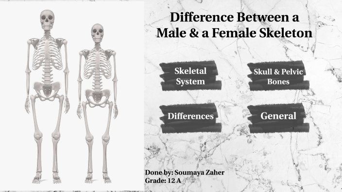 Difference Between a Male & a Female Skeleton by somayah zaher on Prezi