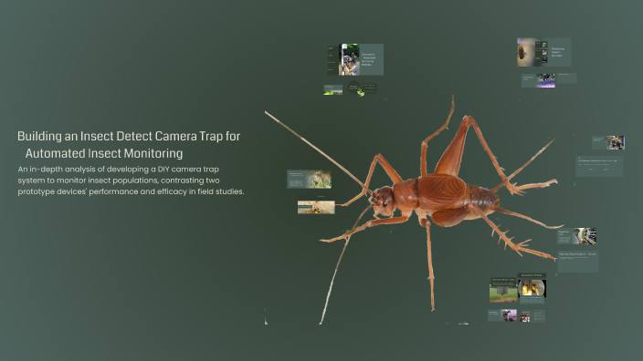 Building an Insect Detect Camera Trap for Automated Insect Monitoring ...
