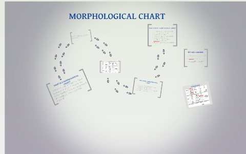 A morphological chart is a table based on the function analy by Ecenur ...