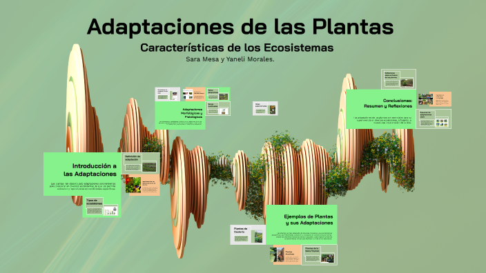 Adaptaciones de las Plantas by Yaneli Morales on Prezi