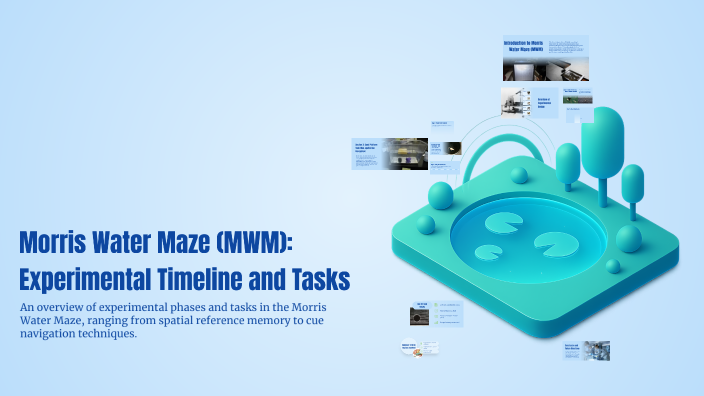 Morris Water Maze (MWM): Experimental Timeline and Tasks by Ajinkya ...