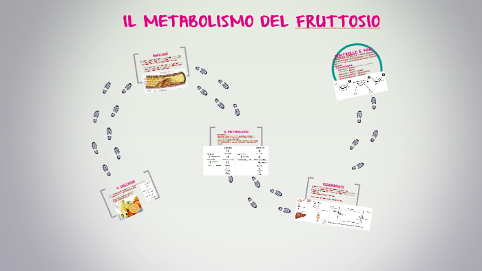 IL METABOLISMO DEL FRUTTOSIO by Alessandro Di Giovanni on Prezi
