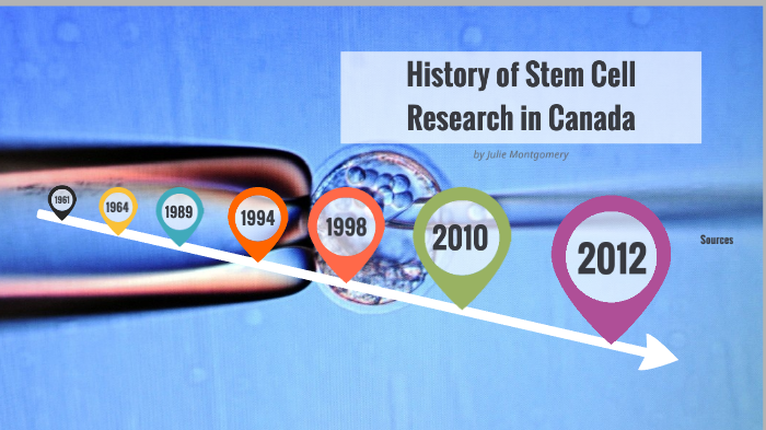 History of Stem Cell Research by Julie Ramey on Prezi