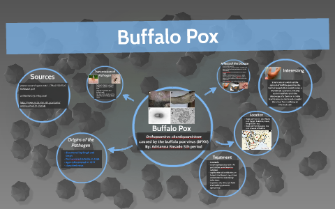 Buffalo Pox by Adrianna Rosado on Prezi