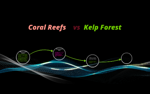 Coral Reefs vs Kelp Forest by Nareus Hardin on Prezi
