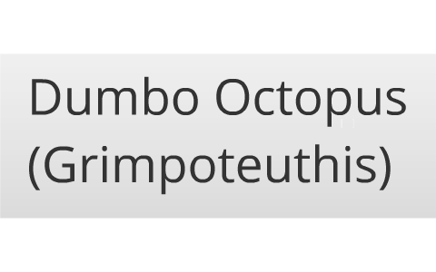 Dumbo Octopus by Amanda Strandberg