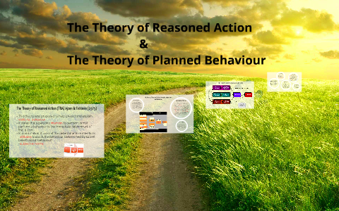 The Theory of Reasoned Action and The Theory of Planned Beha by Clíona ...