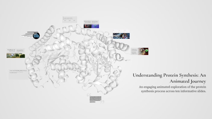 Understanding Protein Synthesis: An Animated Journey by Habiba Youssef ...