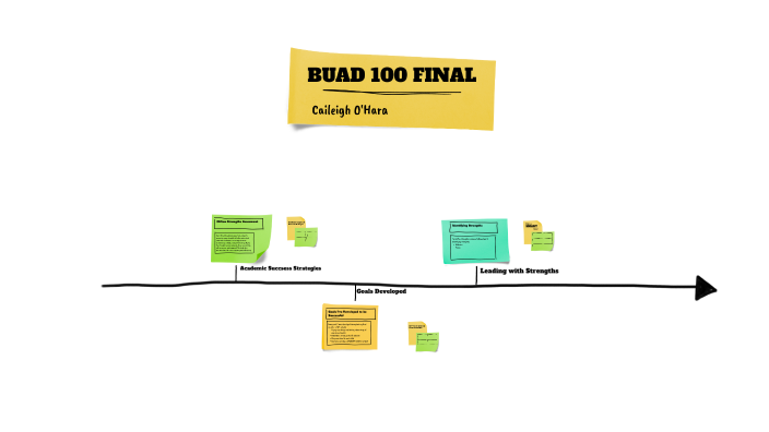 BUAD 100 FINAL by Caileigh O'Hara on Prezi