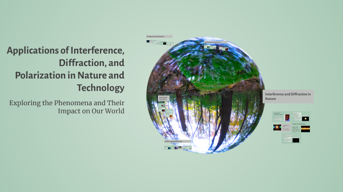Applications of Interference, Diffraction, and Polarization in Nature ...