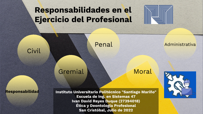 Responsabilidades en el Ejercicio del Profesional by Ivan David Reyes ...