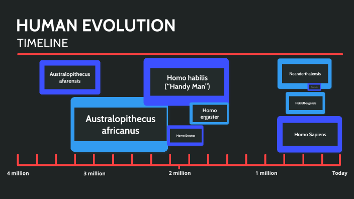 Human Timeline by More Raul on Prezi