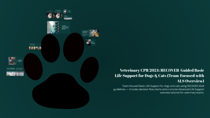 Veterinary CPR 2024: RECOVER-Guided Basic Life Support for Dogs & Cats ...