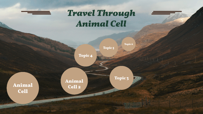 Cell Travel Agent Brochure Project by Arianna Bruny on Prezi