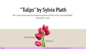 "Tulips" by Sylvia Plath by Brianna Murphy on Prezi Design