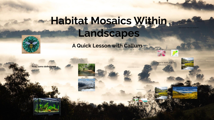 Habitat Mosaics Within Landscapes by Callum Barnard on Prezi