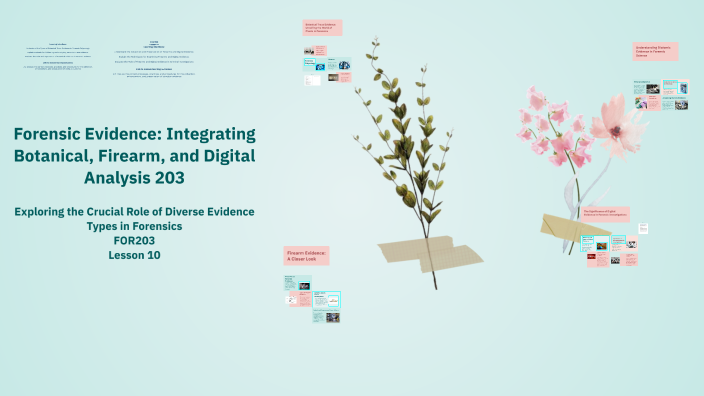 Forensic Evidence: Integrating Botanical, Firearm, and Digital Analysis ...