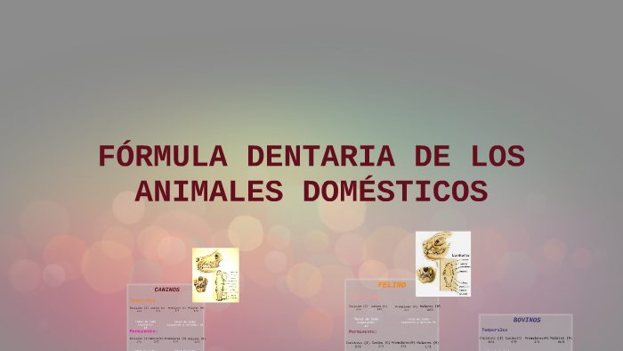 FÓRMULA DENTARIA DE LOS ANIMALES DOMÉSTICOS by Dani Villacis Cabrera on ...