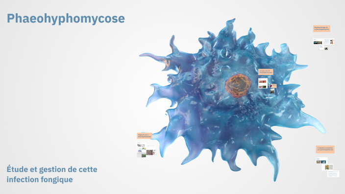 Phaeohyphomycose by z h on Prezi