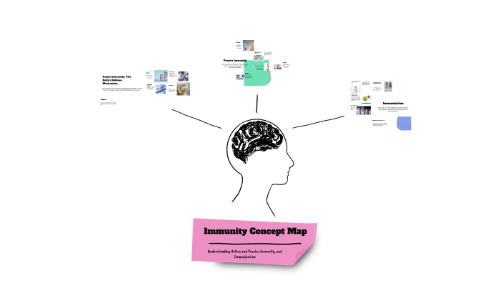 Immunity Concept Map by jacquie Sampson on Prezi
