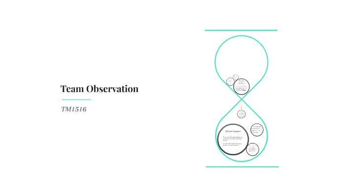 Team Observation by on Prezi Next