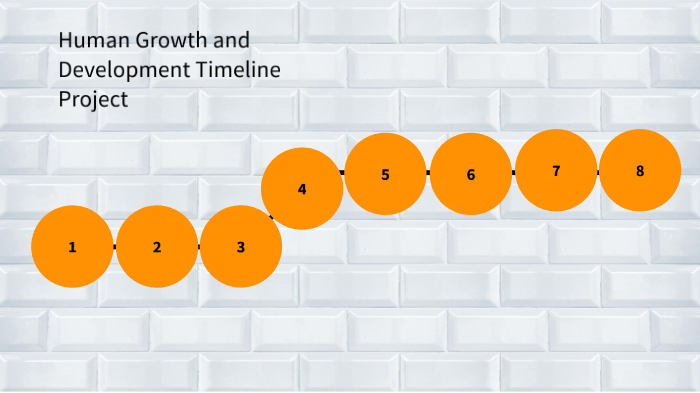 Human growth and development timeline project by Xander Wienen on Prezi