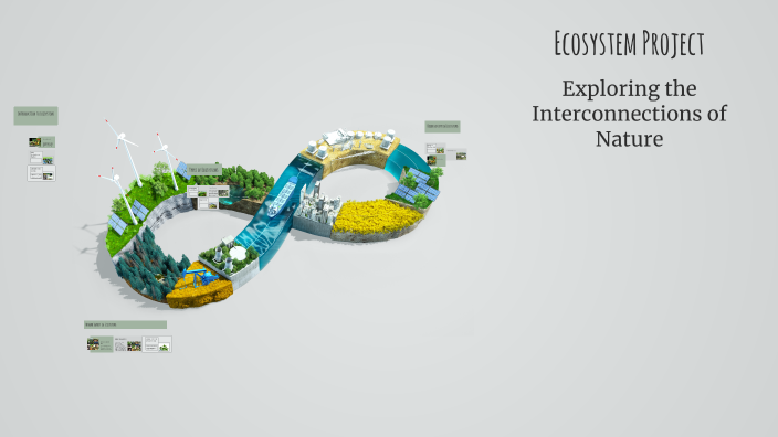 Ecosystem Project by Matthew Rodriguez on Prezi