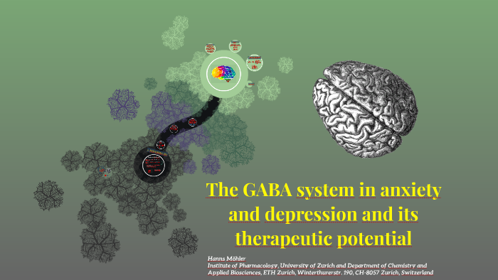 The GABA system in anxiety and depression and its therapeuti by Rafael ...