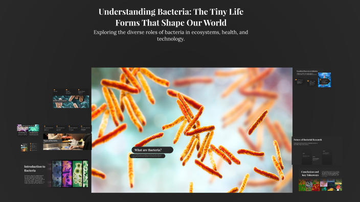 Understanding Bacteria: The Tiny Life Forms That Shape Our World by ...