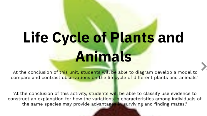 Life Cycle of Plants and Animals : 3rd Grade by Skylar Samway on Prezi