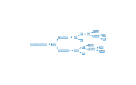 BME Flow Chart by Karen Redmond on Prezi
