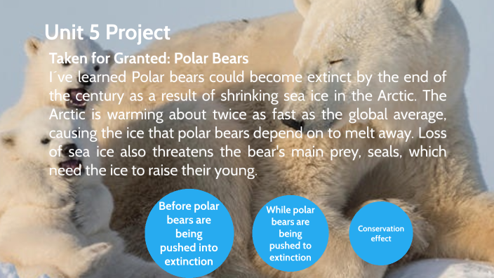 Unit 5 Project by Selena Gardner on Prezi