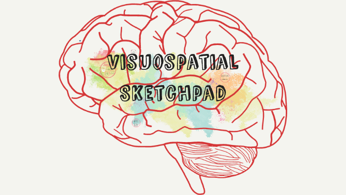 The Visuo-spacial Sketchpad by saranya barthe on Prezi