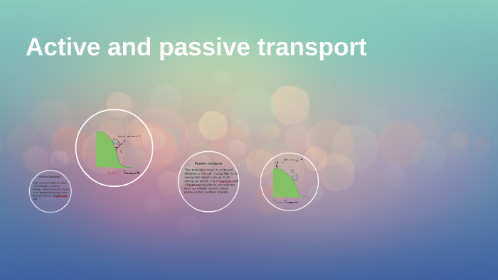 Active and passive transport by jessica walsh on Prezi