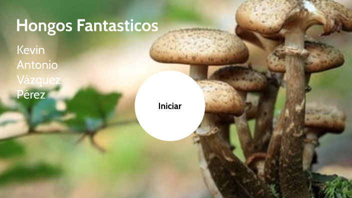Hongos Fantasticos by Kevin Antonio Vazquez Perez on Prezi