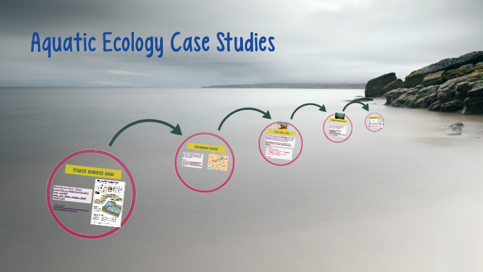 Aquatic Ecology Case Studies by Heather Berry on Prezi
