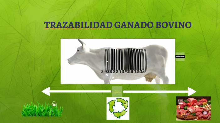 Trazabilidad Ganado Bovino By Fabián Romero On Prezi